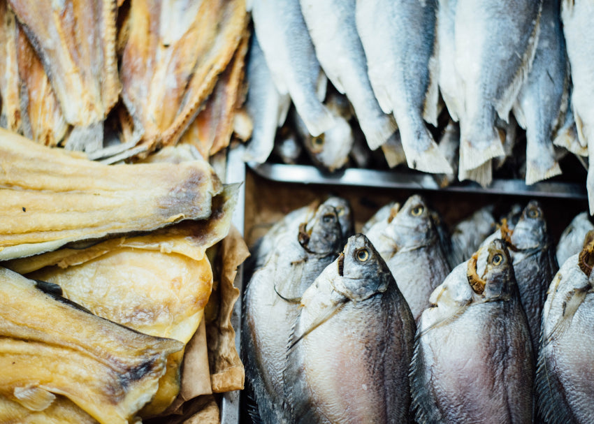Fish Oil May Help Insulin Resistance | Dr. Randolph's Wellness Store